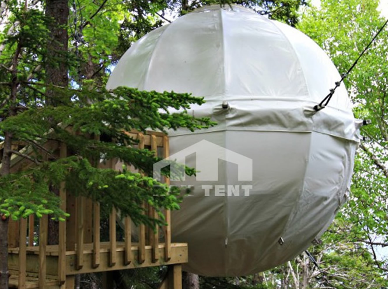 Tree Tent Hang Up – Glamping Glamour